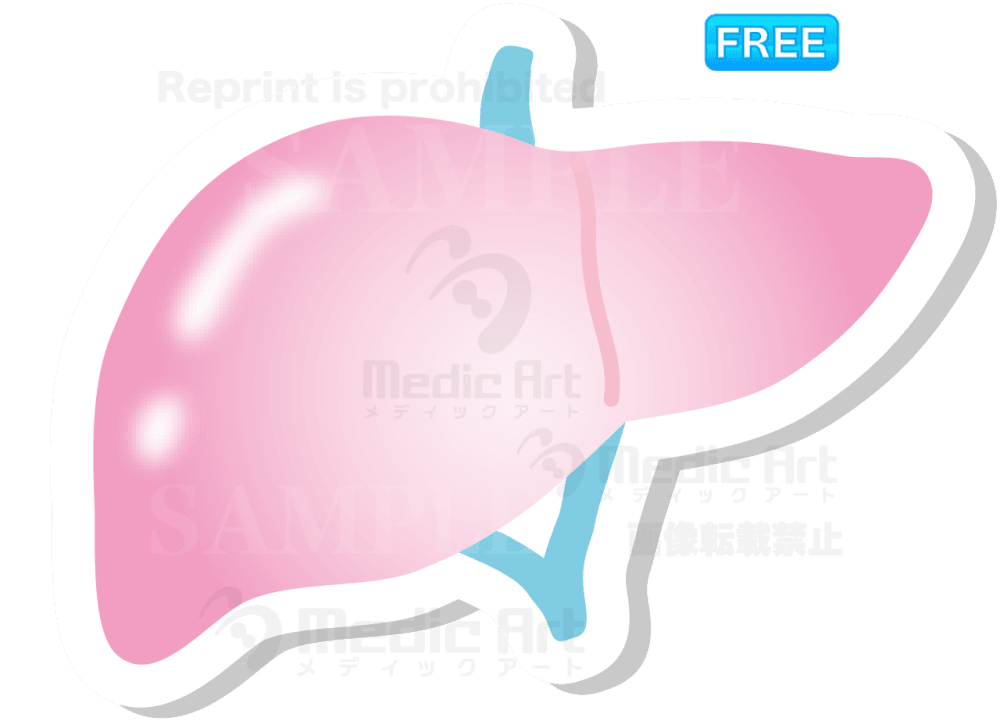 Lovely button icon of liver /F2